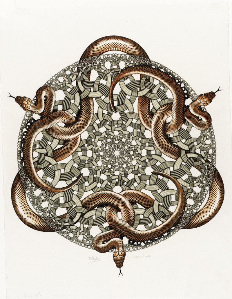 Escher: Journey Into Infinity (Escher: Het Oneindige Zoeken) - Jeremy C. Processing