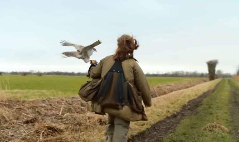 H is for Hawk - Jeremy C. Processing